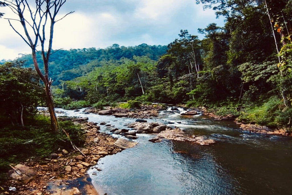 Sinharaja Forest Reserve - Sri Lanka Explorers